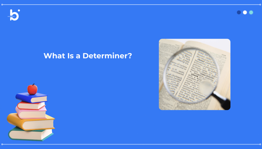 What Is a Determiner? (Definition, Types & Examples)